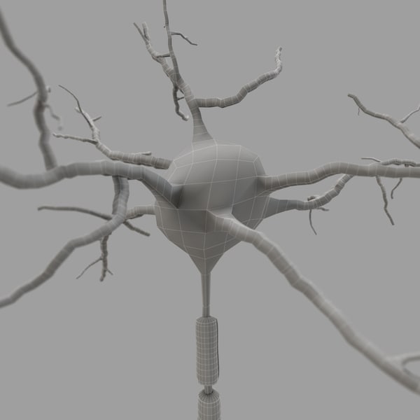 3D motor neuron 2 model - TurboSquid 1159940
