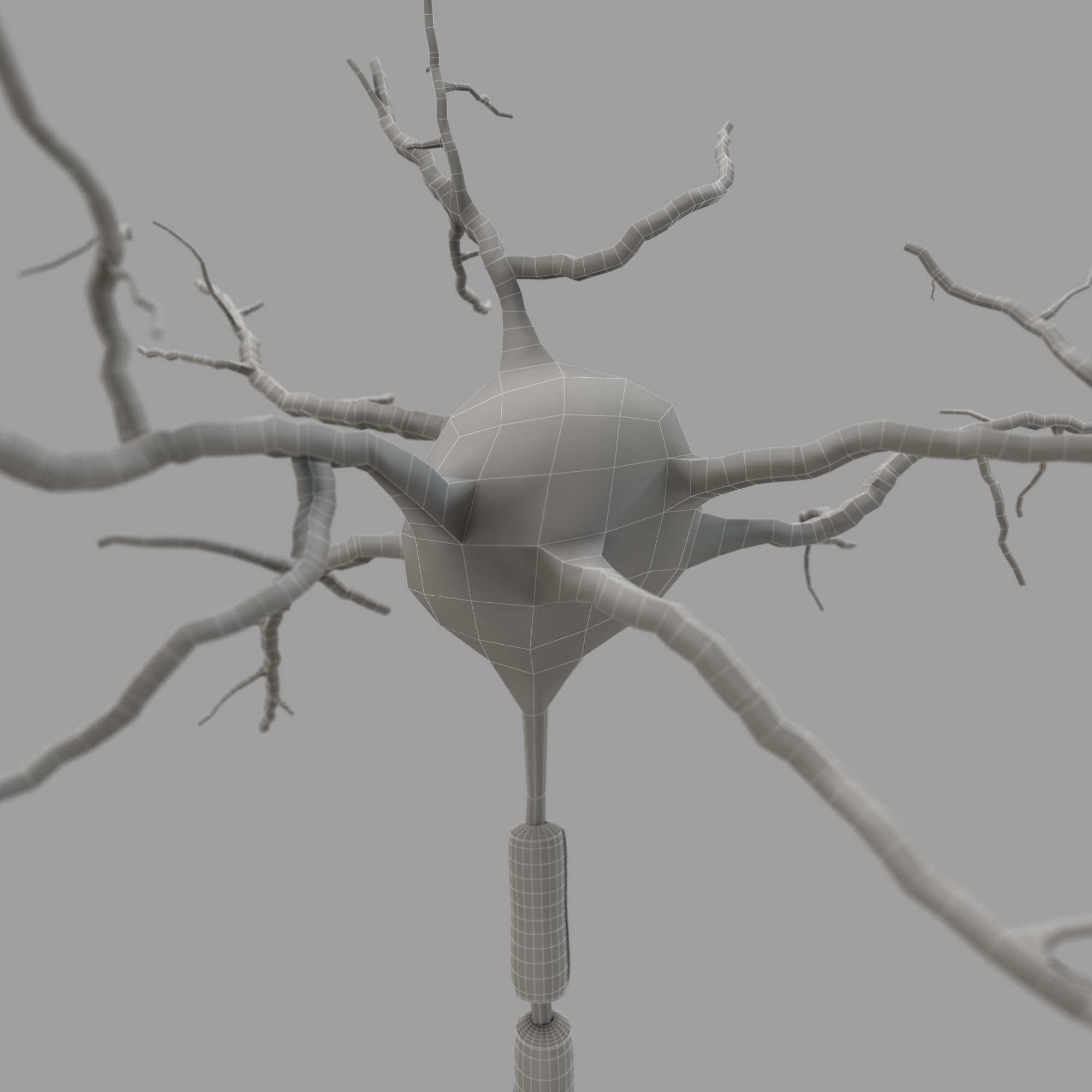 3D motor neuron 2 model - TurboSquid 1159940