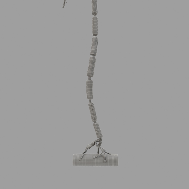 3D motor neuron 2 model - TurboSquid 1159940