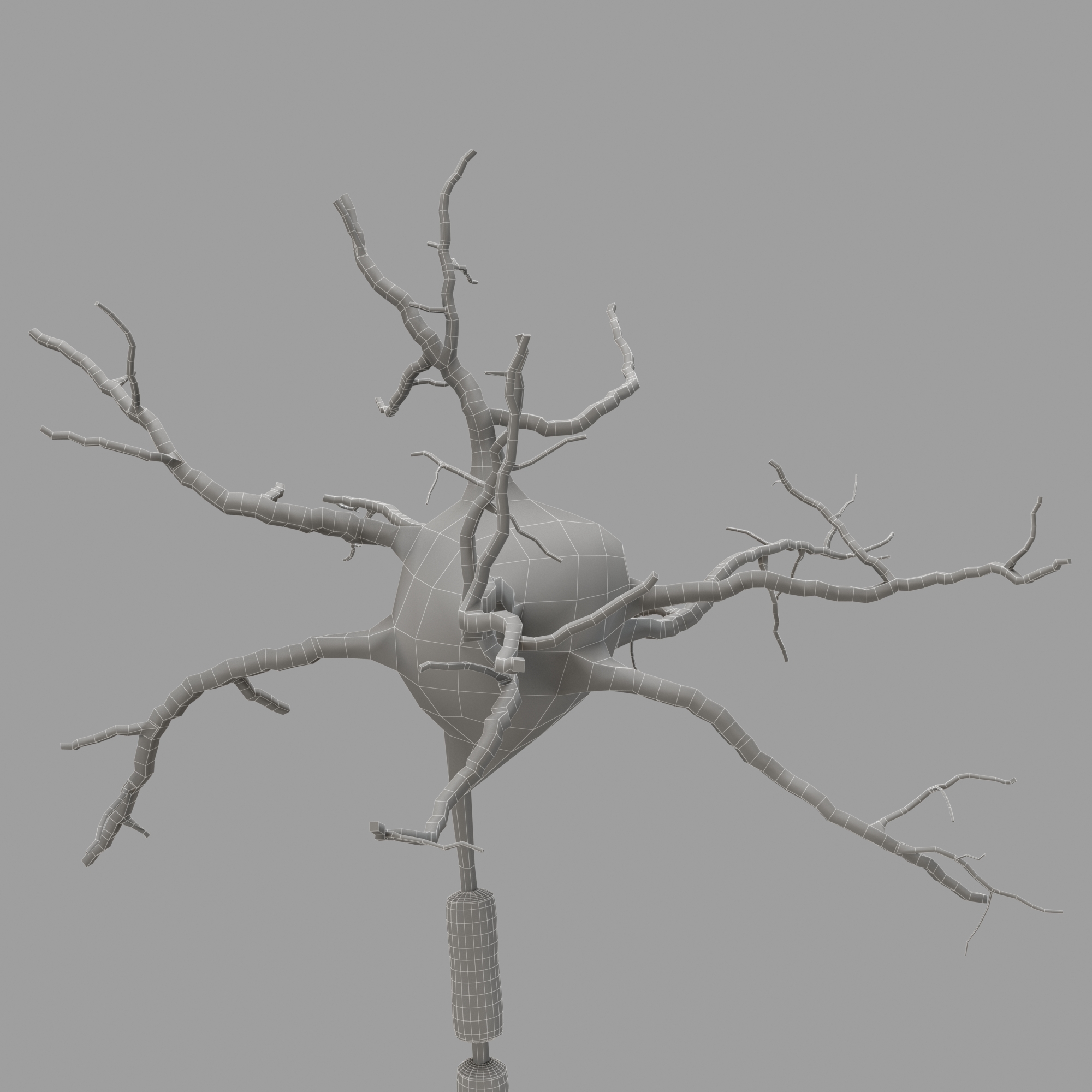 3D motor neuron 2 model - TurboSquid 1159940