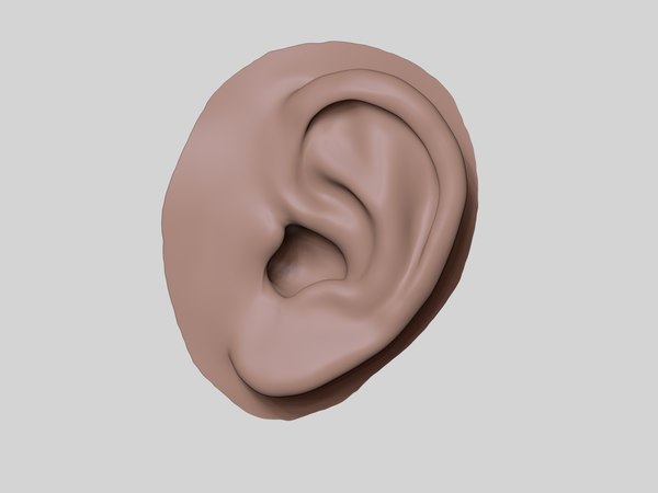 Ear 3D Models for Download | TurboSquid