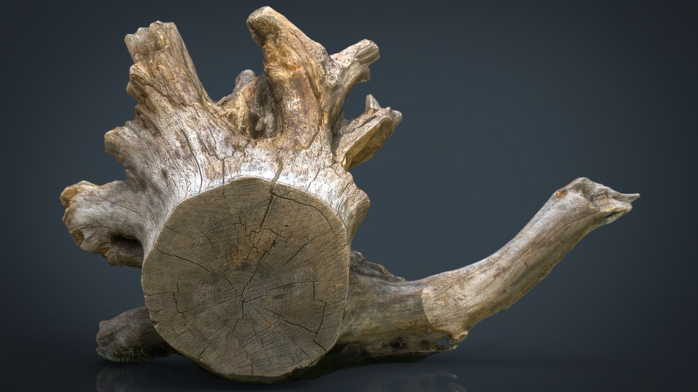 Dead Trunk 3d Model Turbosquid 1160661
