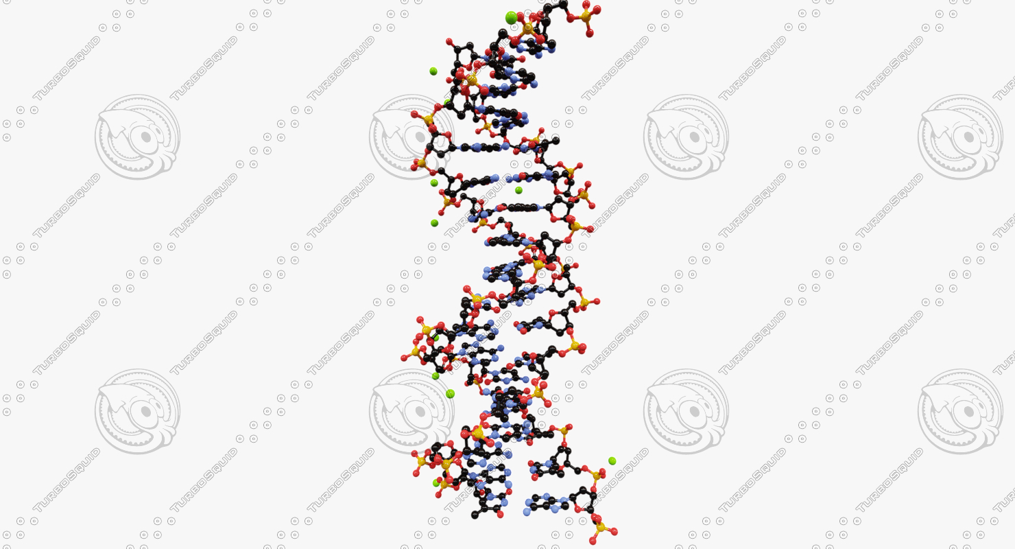 3D model double helix dna molecule - TurboSquid 1161814