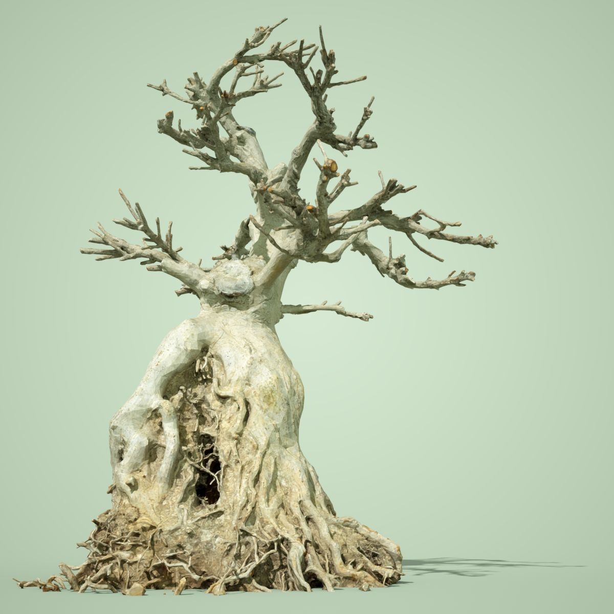 3D dead forest tree stylised - TurboSquid 1162461