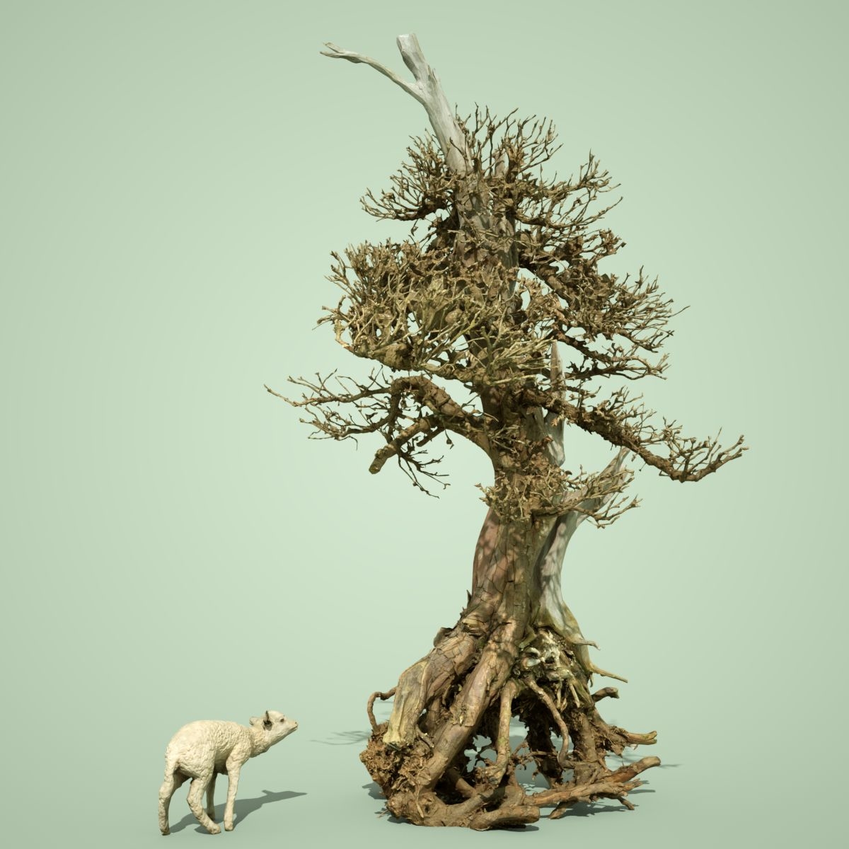 3D dead forest tree stylised - TurboSquid 1162461