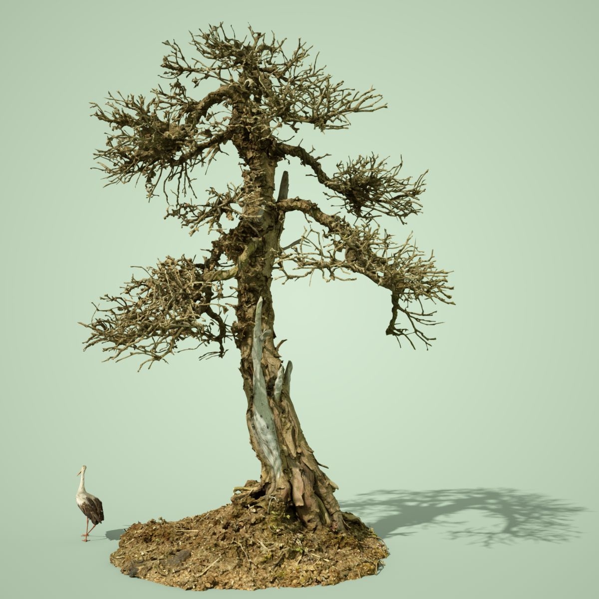 3D dead forest tree stylised - TurboSquid 1162461