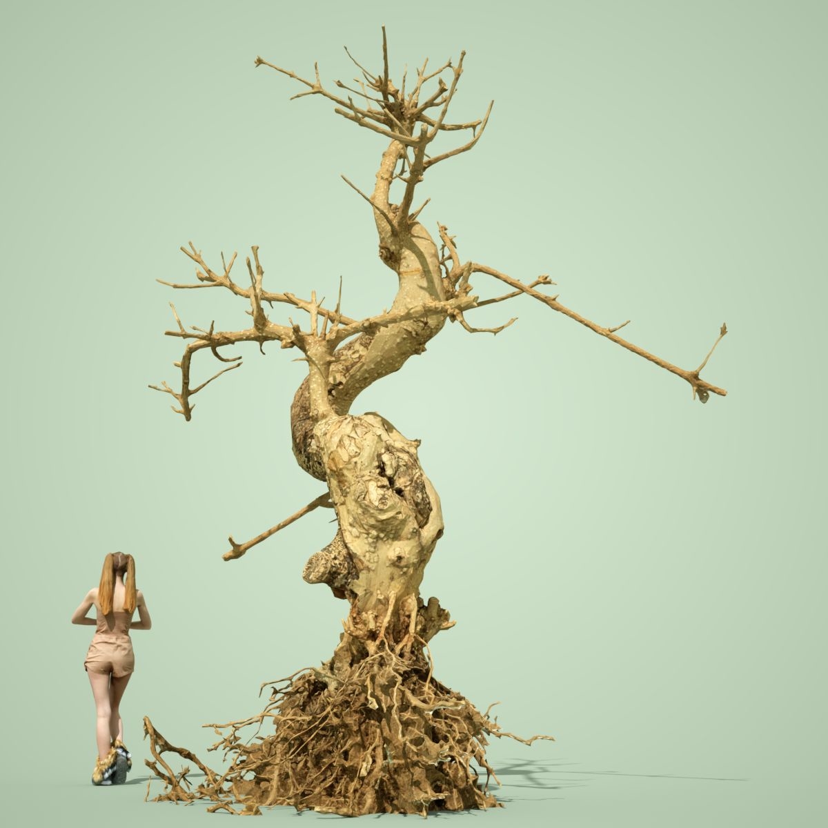 3D dead forest tree stylised - TurboSquid 1162461