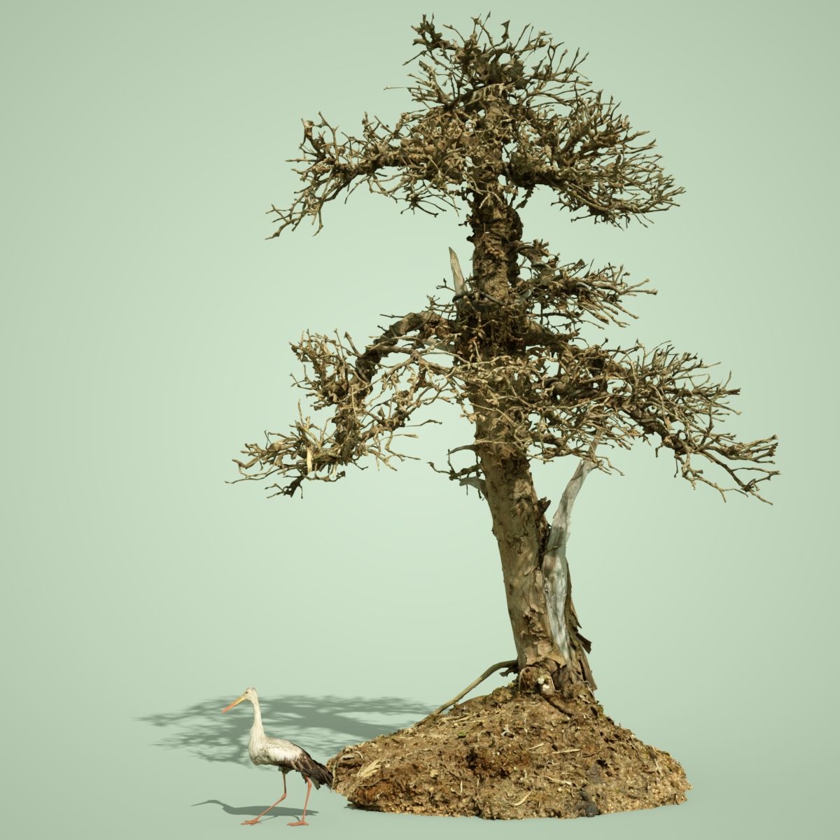 3D dead forest tree stylised - TurboSquid 1162461