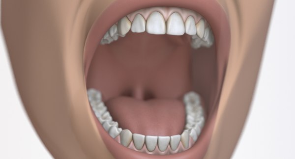 Dental mouth 3D - TurboSquid 1162707