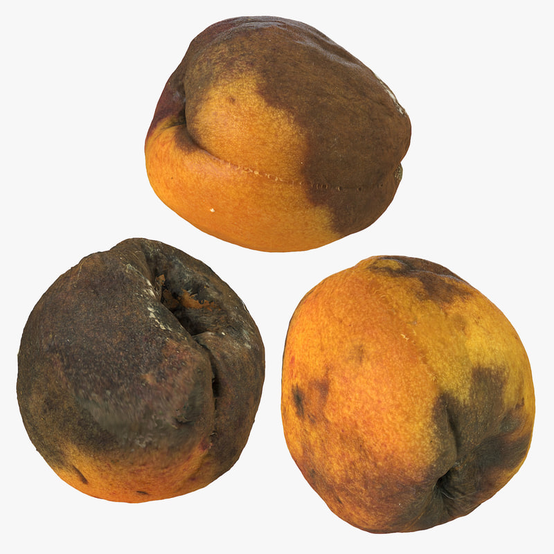 Rotten apricots model - TurboSquid 1163305