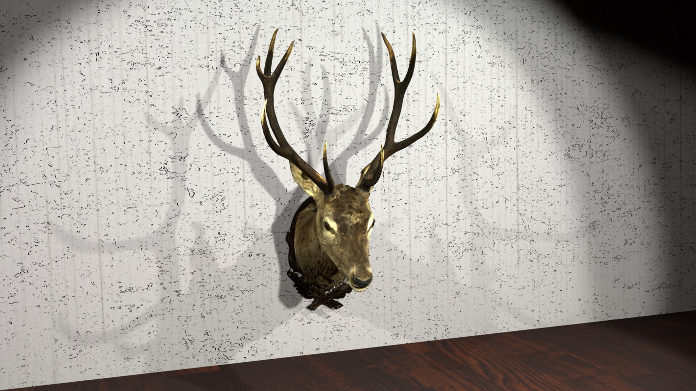 3D stag head model - TurboSquid 1163359