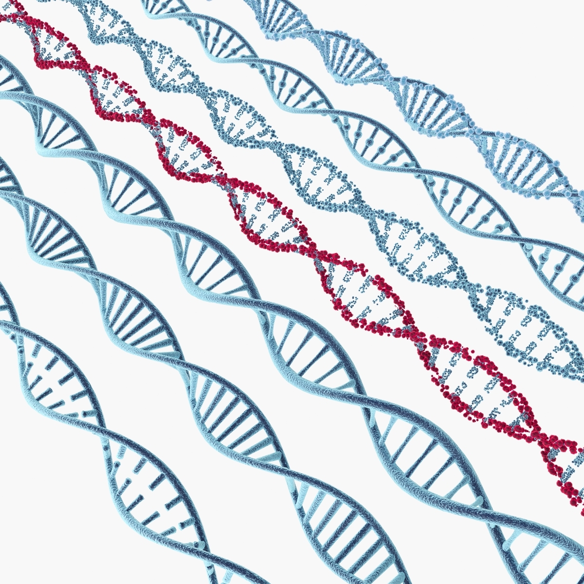3D dna set model - TurboSquid 1163514