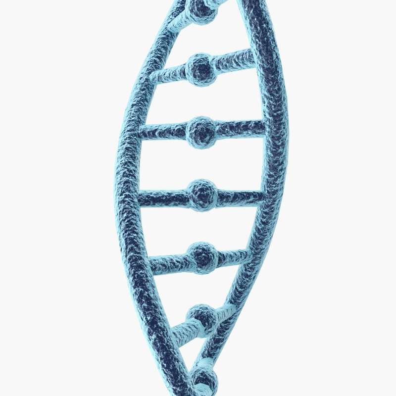 3D dna set model - TurboSquid 1163514
