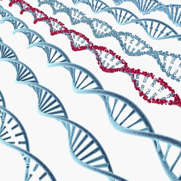 3D dna set model - TurboSquid 1163514
