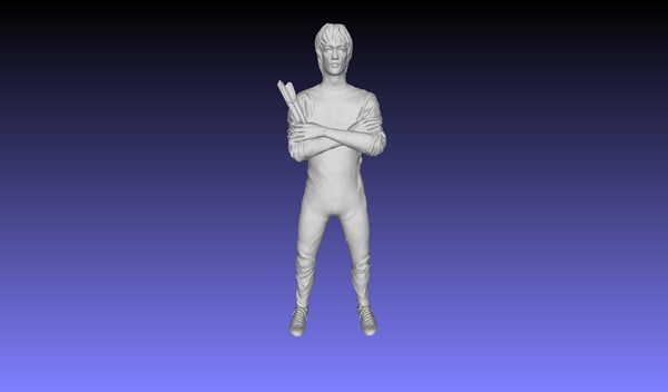 3D bruce lee model - TurboSquid 1163727