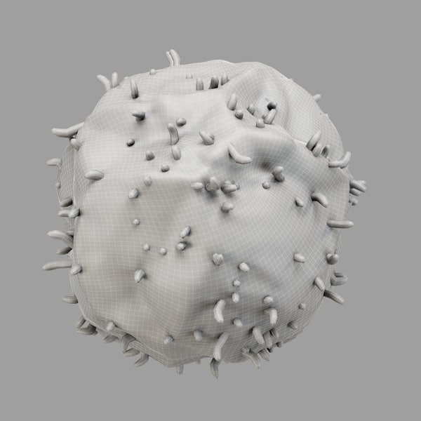 Cytotoxic t cell model - TurboSquid 1163767