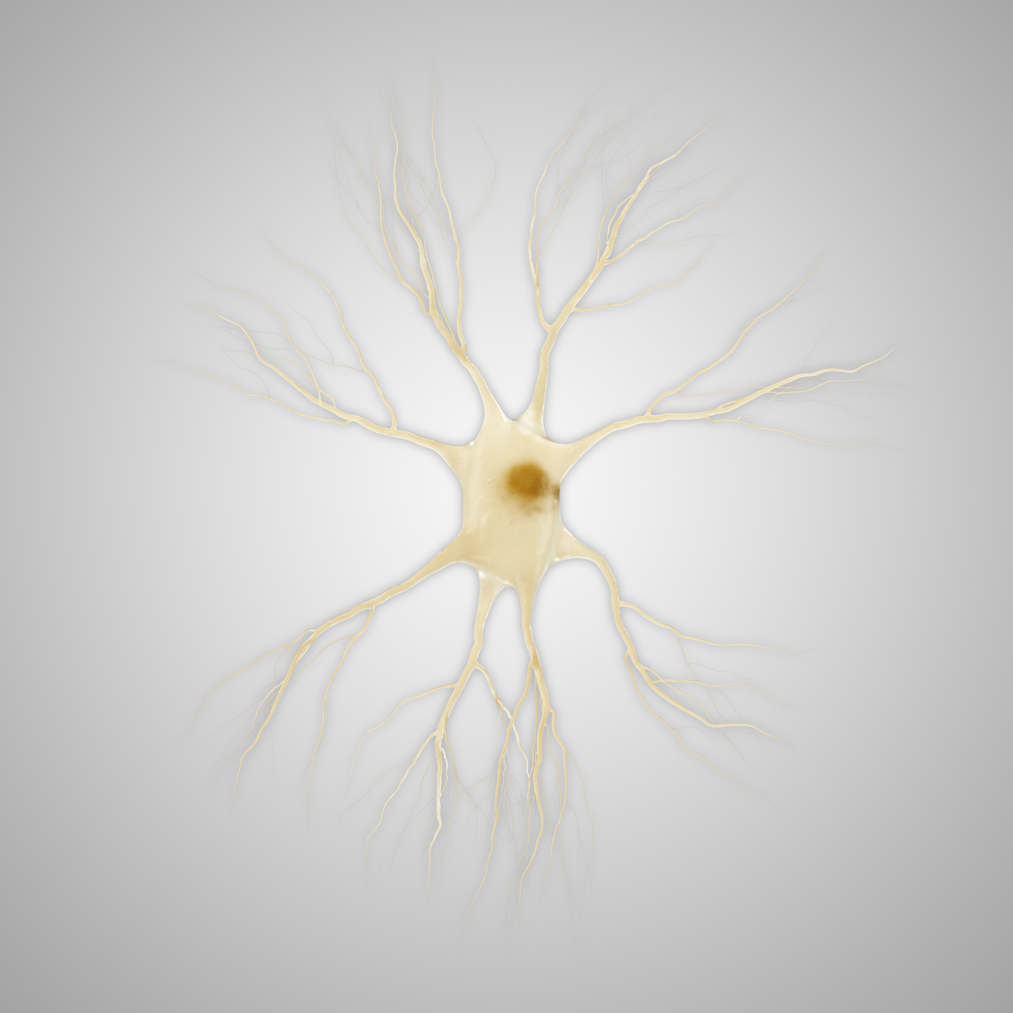 3D astrocyte cell model - TurboSquid 1163842