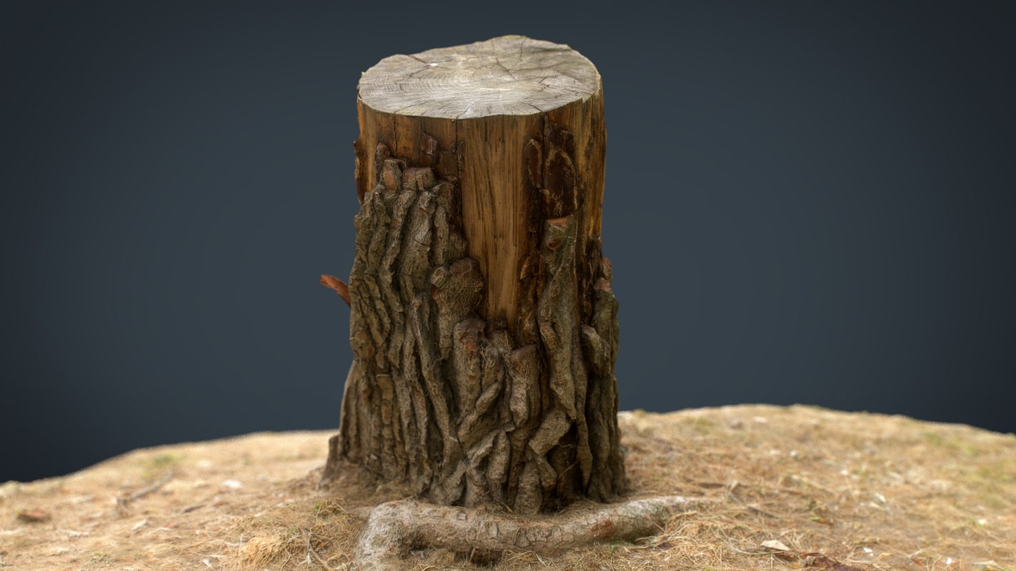 3D realistic tree stump - TurboSquid 1164153