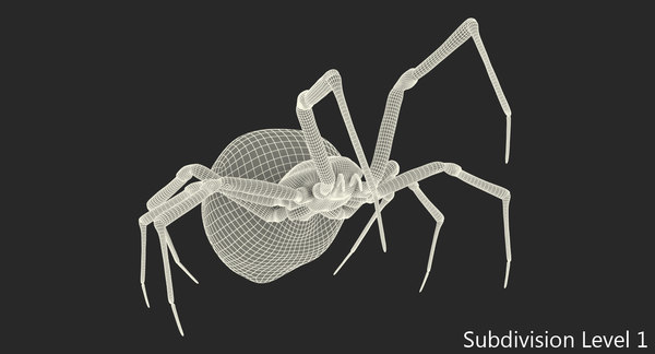 Widow spider fighting pose 3D model - TurboSquid 1164258