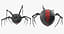 Widow spider fighting pose 3D model - TurboSquid 1164258