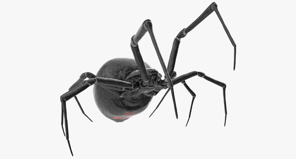 Widow spider fighting pose 3D model - TurboSquid 1164258