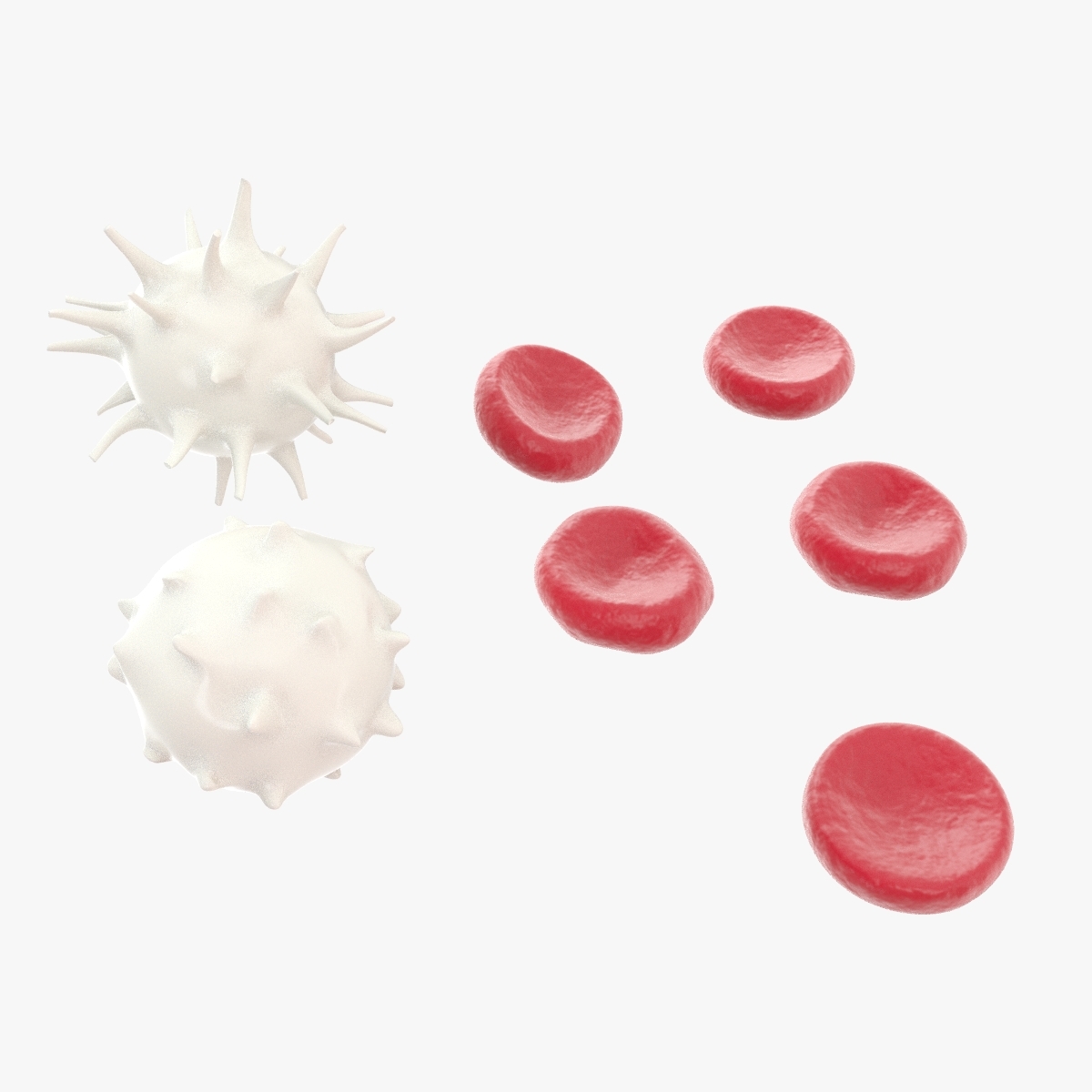 3D blood cells model - TurboSquid 1164381