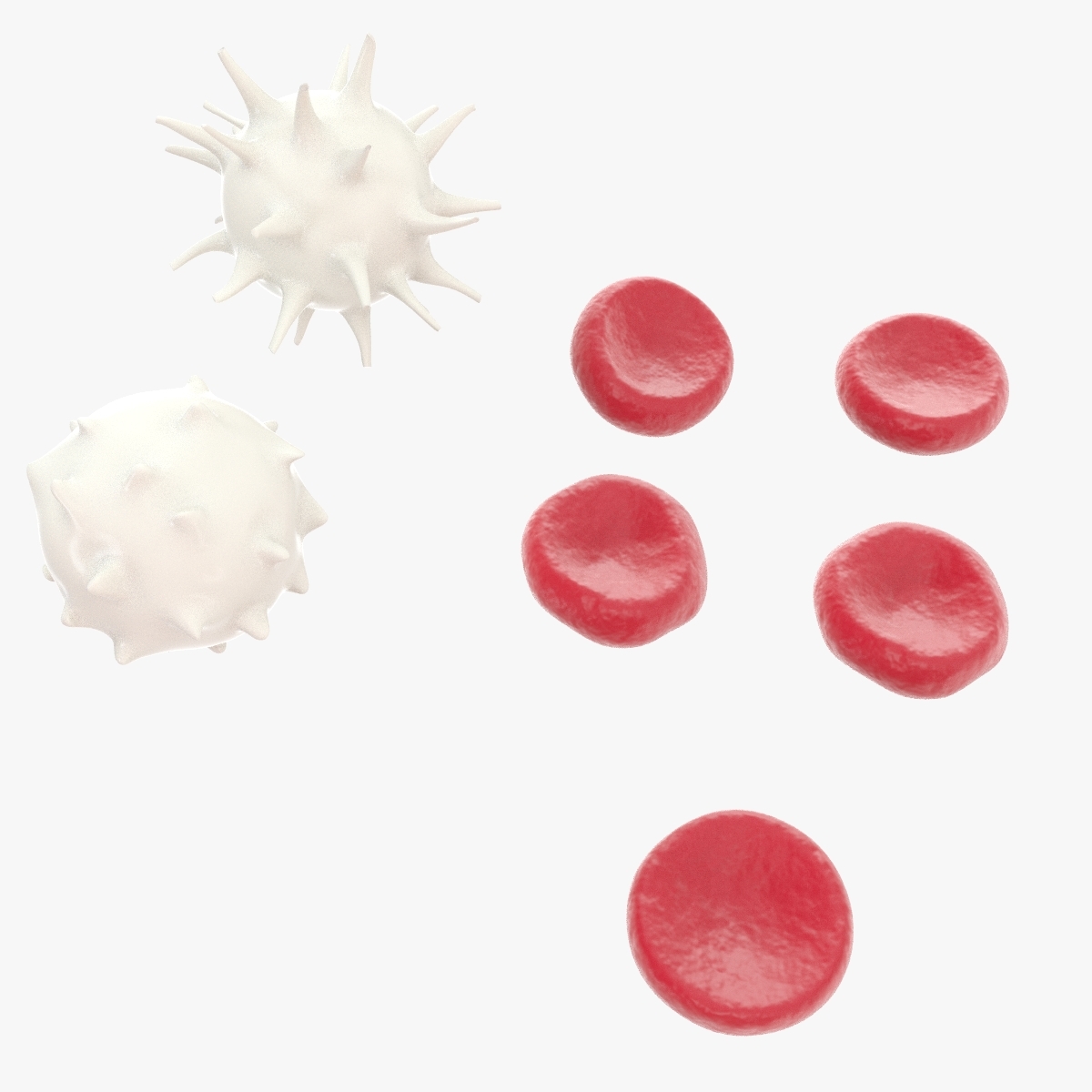 3D blood cells model - TurboSquid 1164381