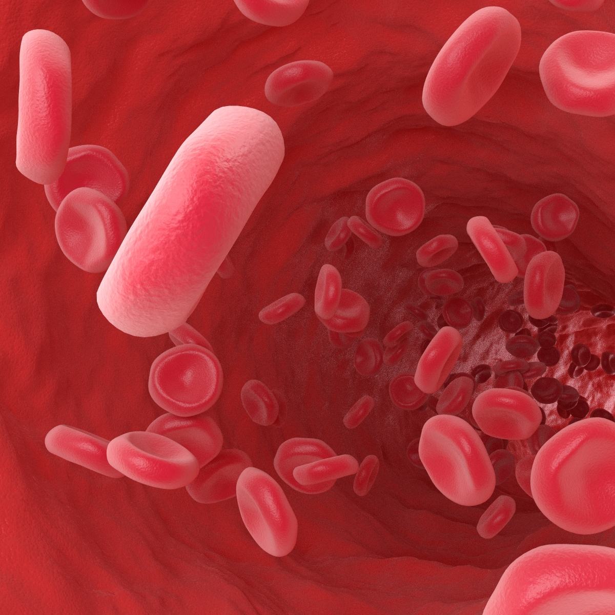 3D blood cells model - TurboSquid 1164381