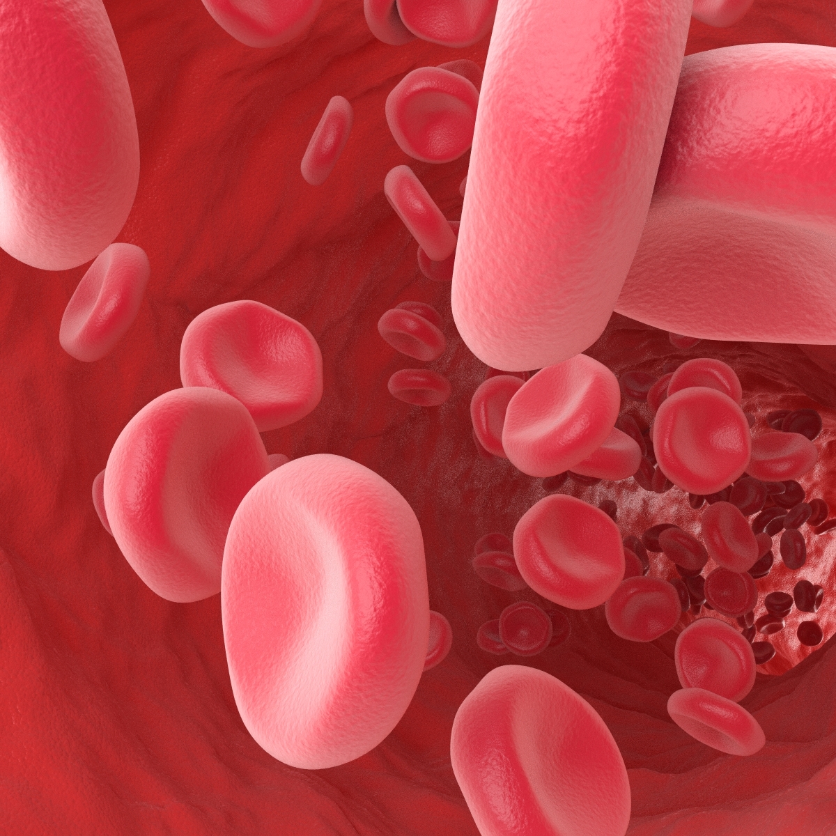 3D blood cells model - TurboSquid 1164381