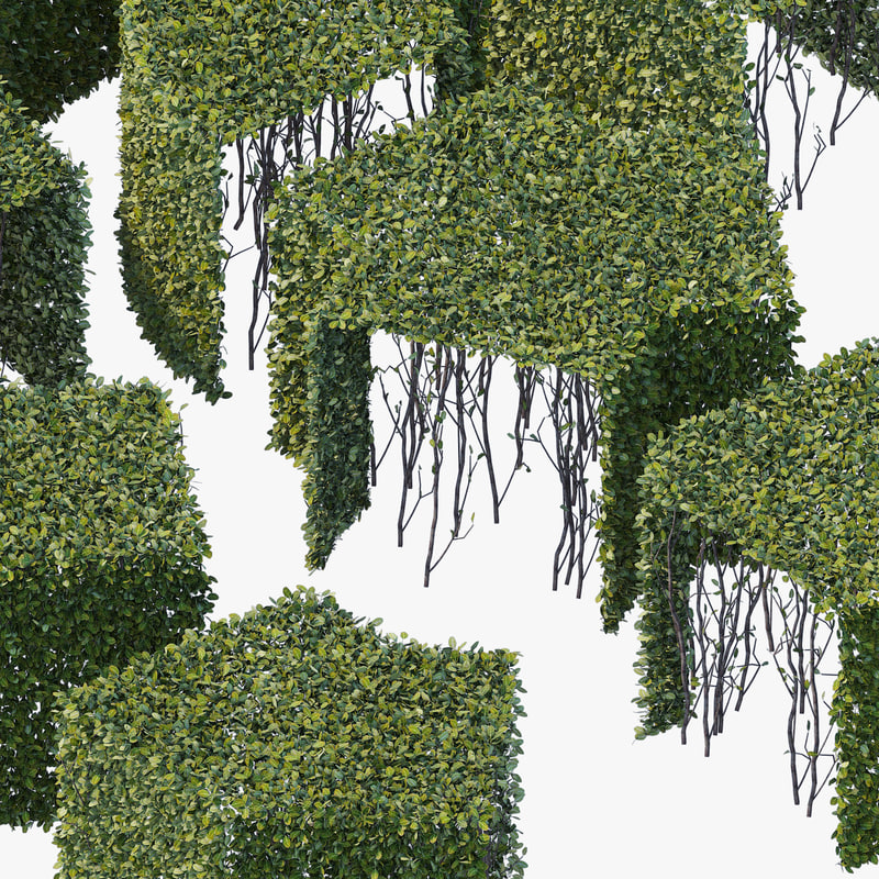 3D hedge h model - TurboSquid 1164498