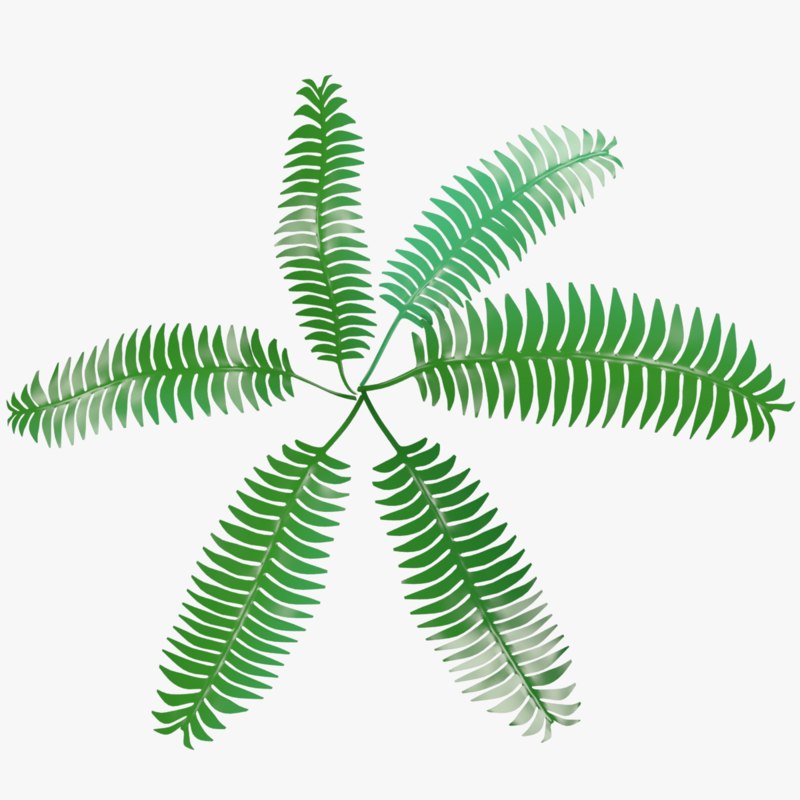 3D cartoon fern - TurboSquid 1165291