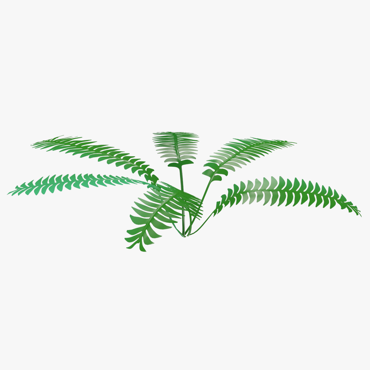 3D cartoon fern - TurboSquid 1165291
