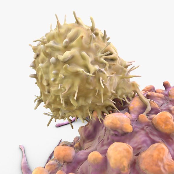 3D t cells attacking cancer - TurboSquid 1165316
