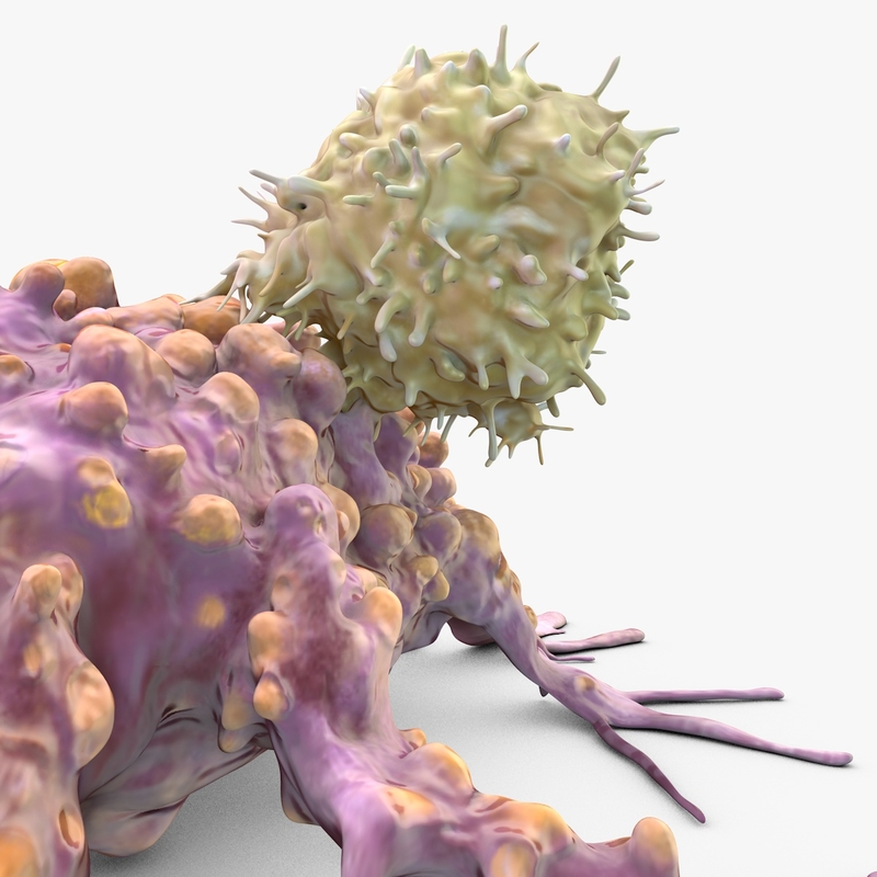 3D t cells attacking cancer - TurboSquid 1165316