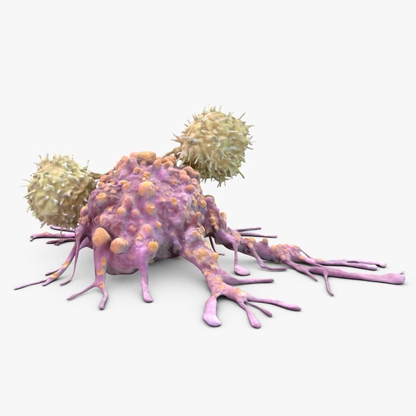 3D t cells attacking cancer - TurboSquid 1165316