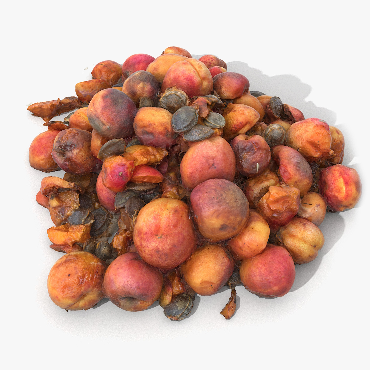 Rotten apricots 3D model - TurboSquid 1165554