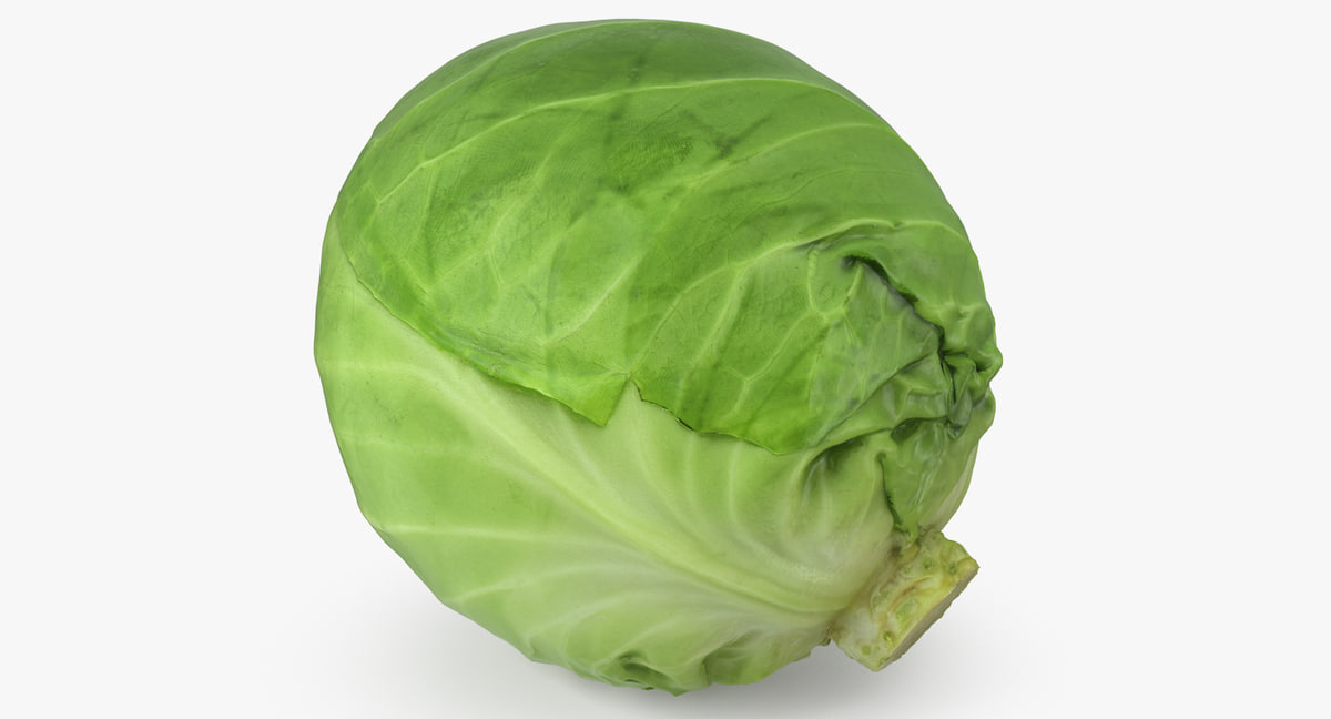 Cabbage realistic 3D model - TurboSquid 1165820