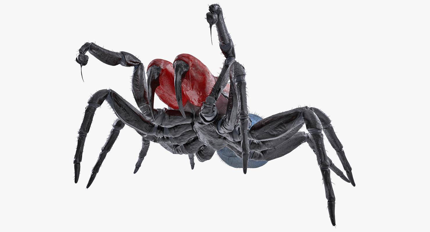 Mouse spider fighting pose 3D model - TurboSquid 1165853