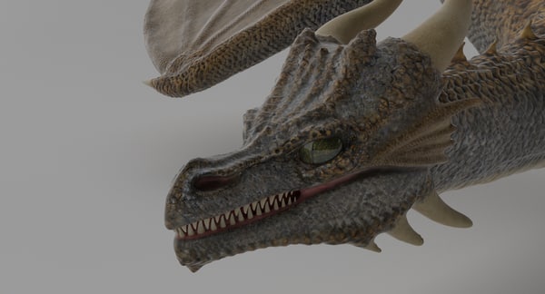 3D wyvern model - TurboSquid 1166178