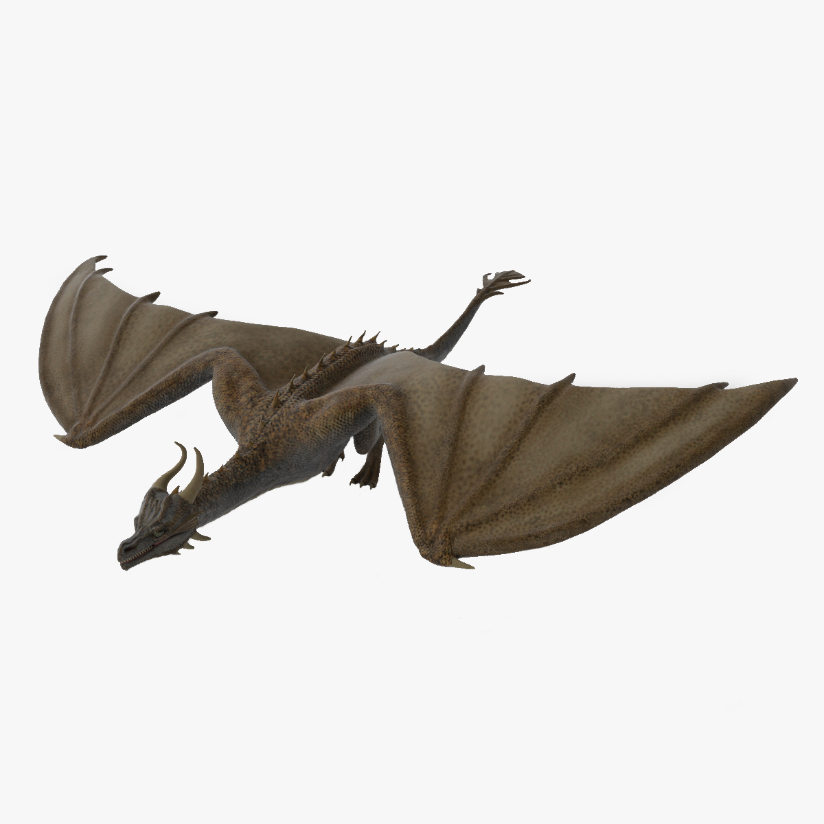 3D wyvern model - TurboSquid 1166178