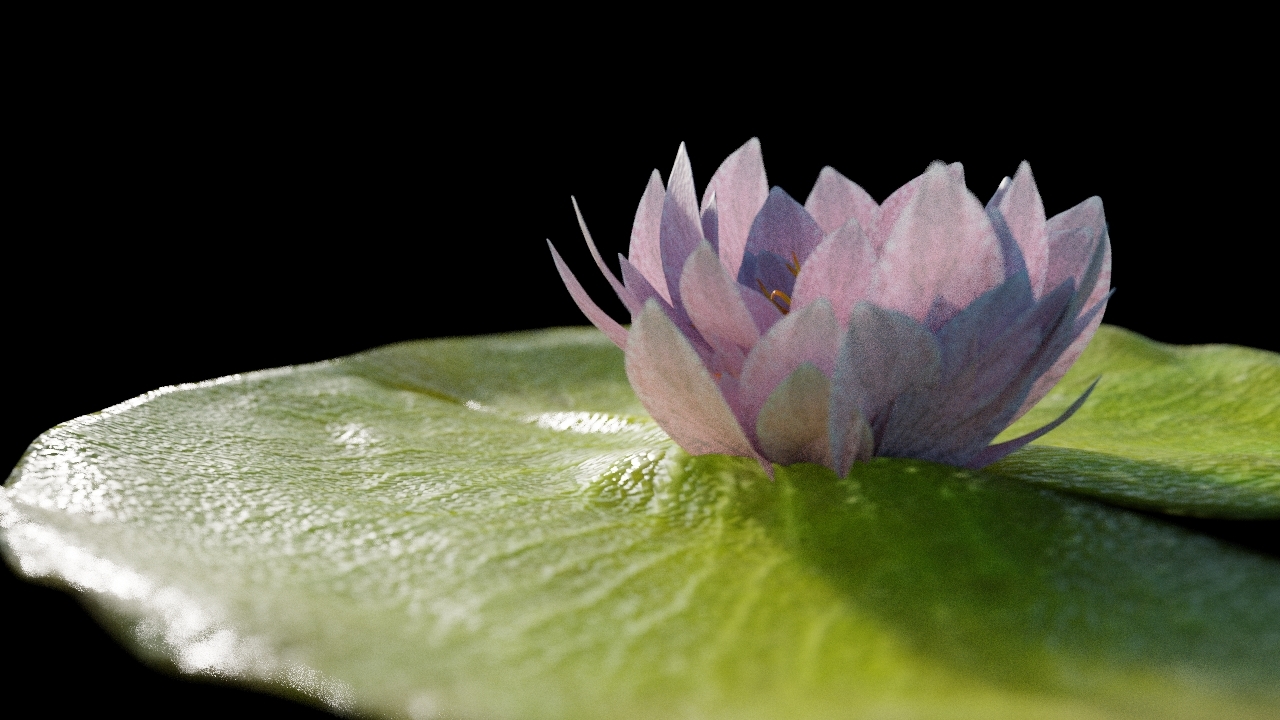 3D lily pad - TurboSquid 1166393