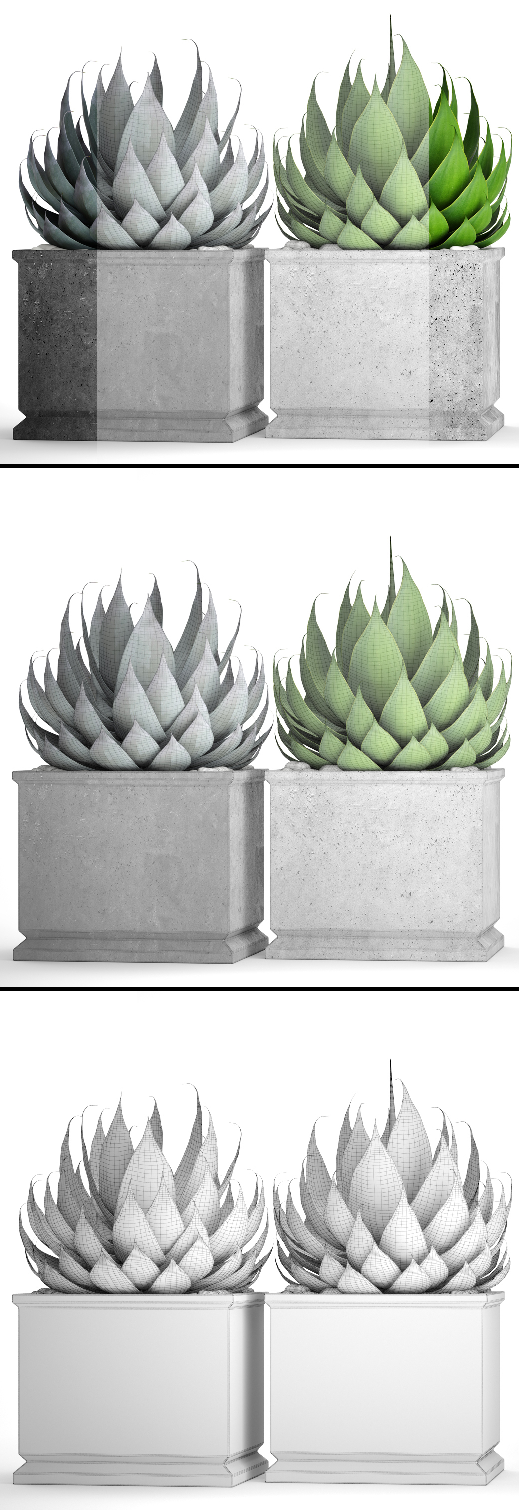 3D agave - TurboSquid 1166415