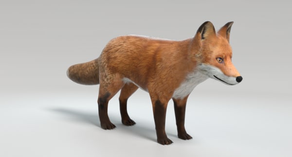 Fox 3D - TurboSquid 1166863