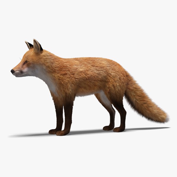 Fox 3D Models for Download | TurboSquid