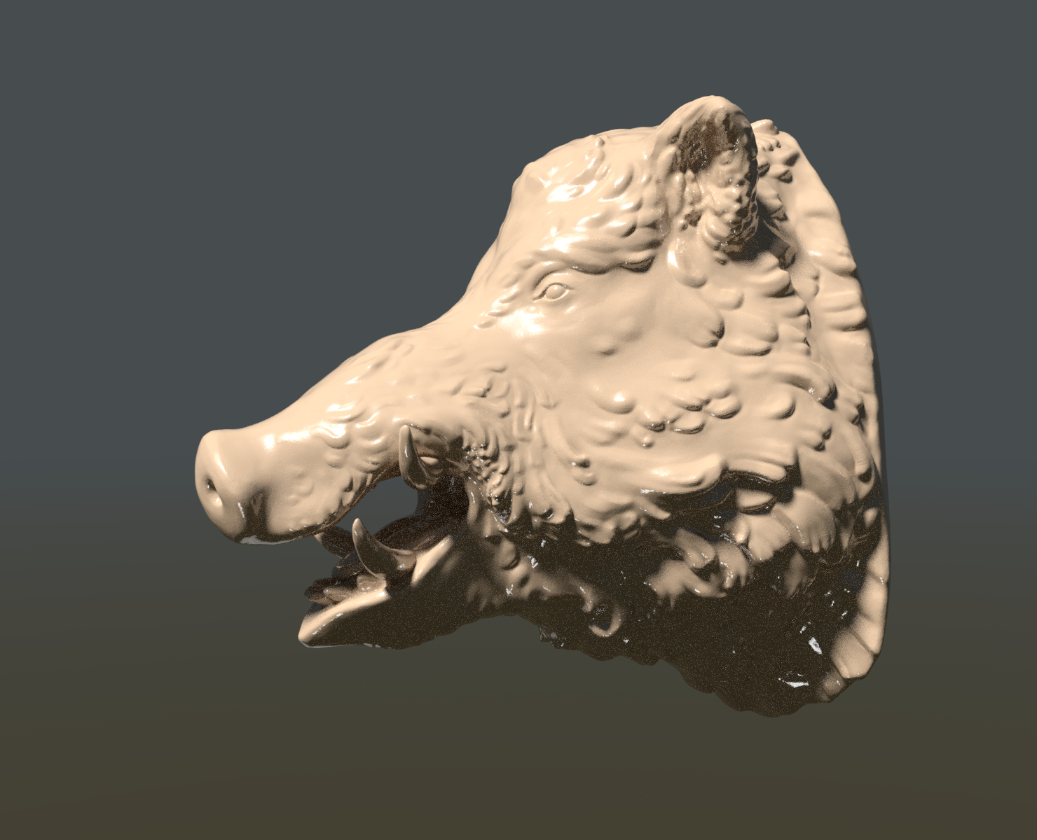 3D model boars head - TurboSquid 1167389