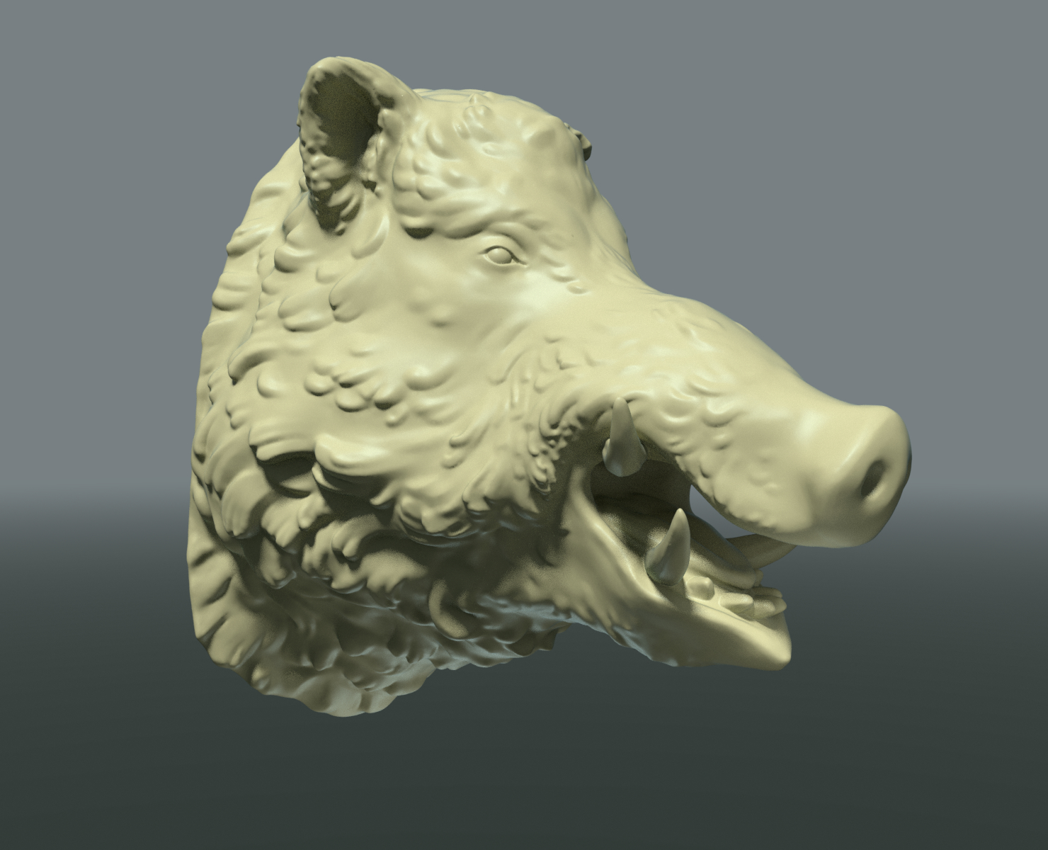 3D model boars head - TurboSquid 1167389