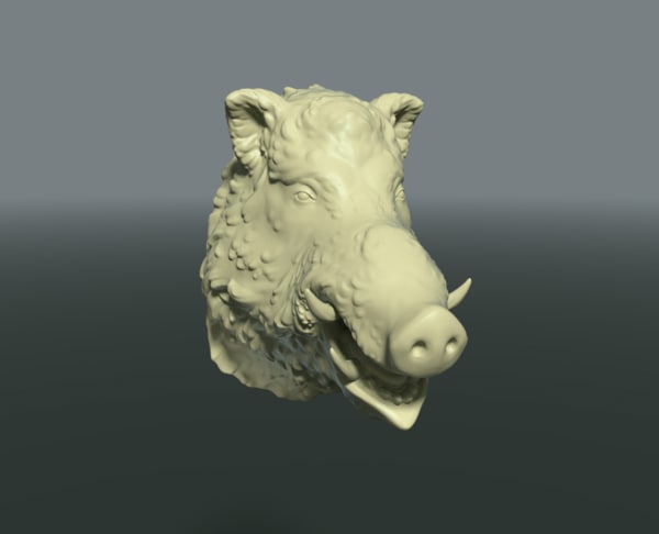3D model boars head - TurboSquid 1167389