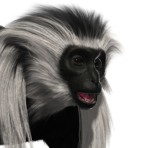 3D Monkey Models | TurboSquid