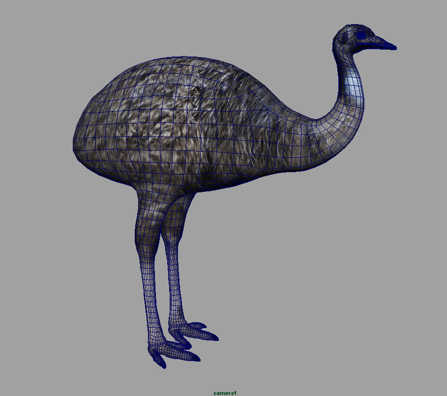 Emu 3D - TurboSquid 1167980