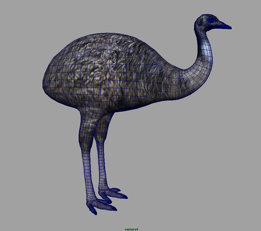 Emu 3D - TurboSquid 1167980